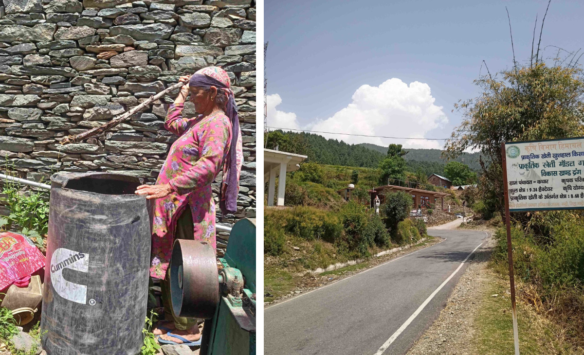 Mandi’s Kadhar village turns model for natural farming as all families ...